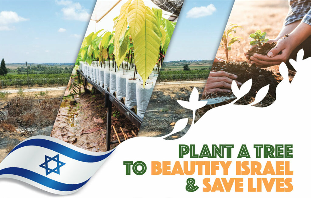 Thank you for planting a tree in Israel - ICEJ USA Branch