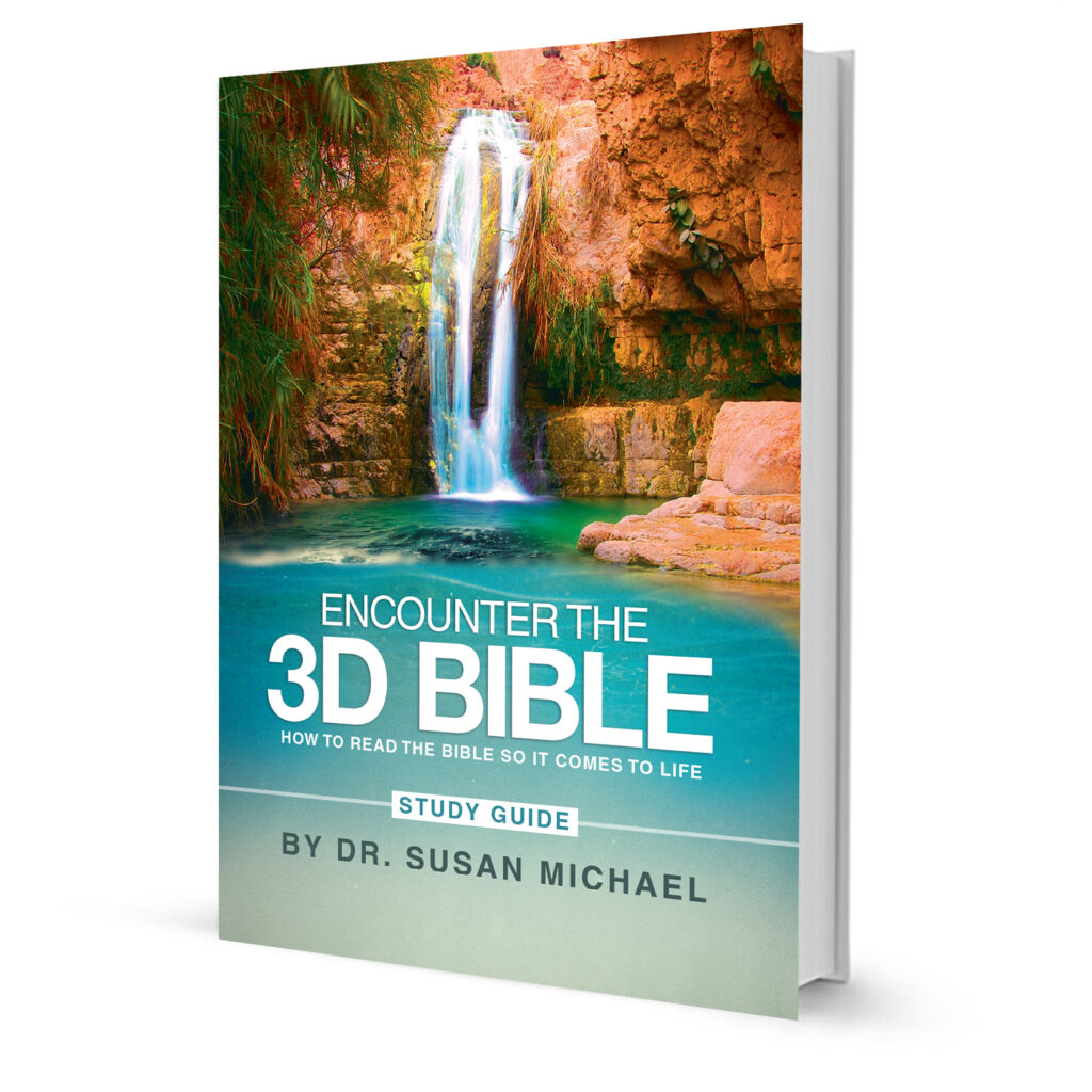 Encounter the 3D Bible: How to Read the Bible So It Comes to Life Study ...