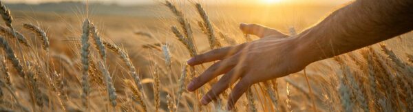 The Spring Feasts & Why They Point to What's Ahead - ICEJ USA Branch