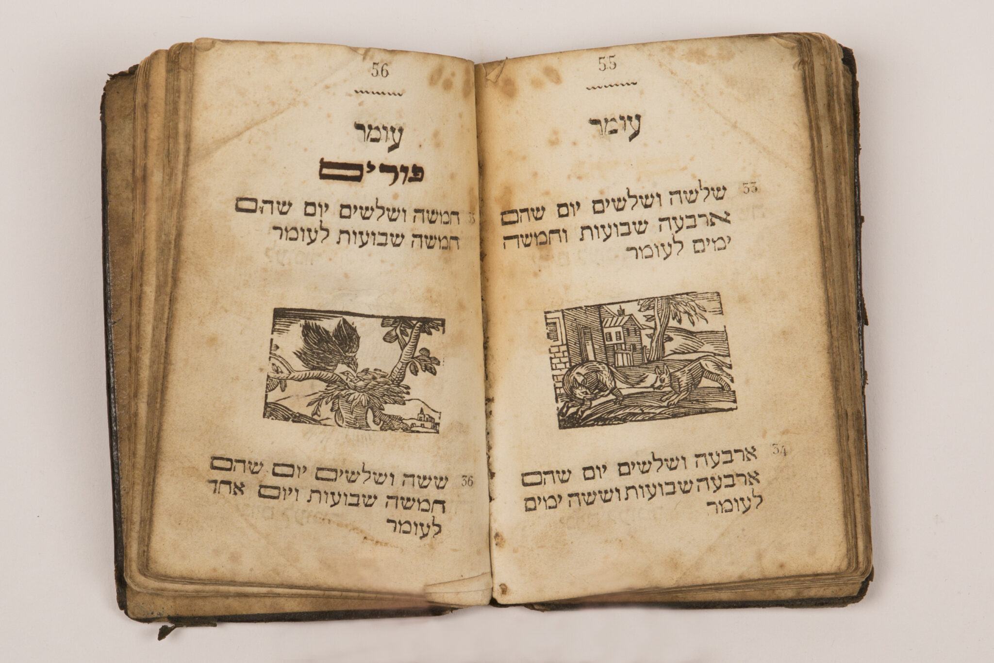 Counting the Omer from Firstfruits to Pentecost